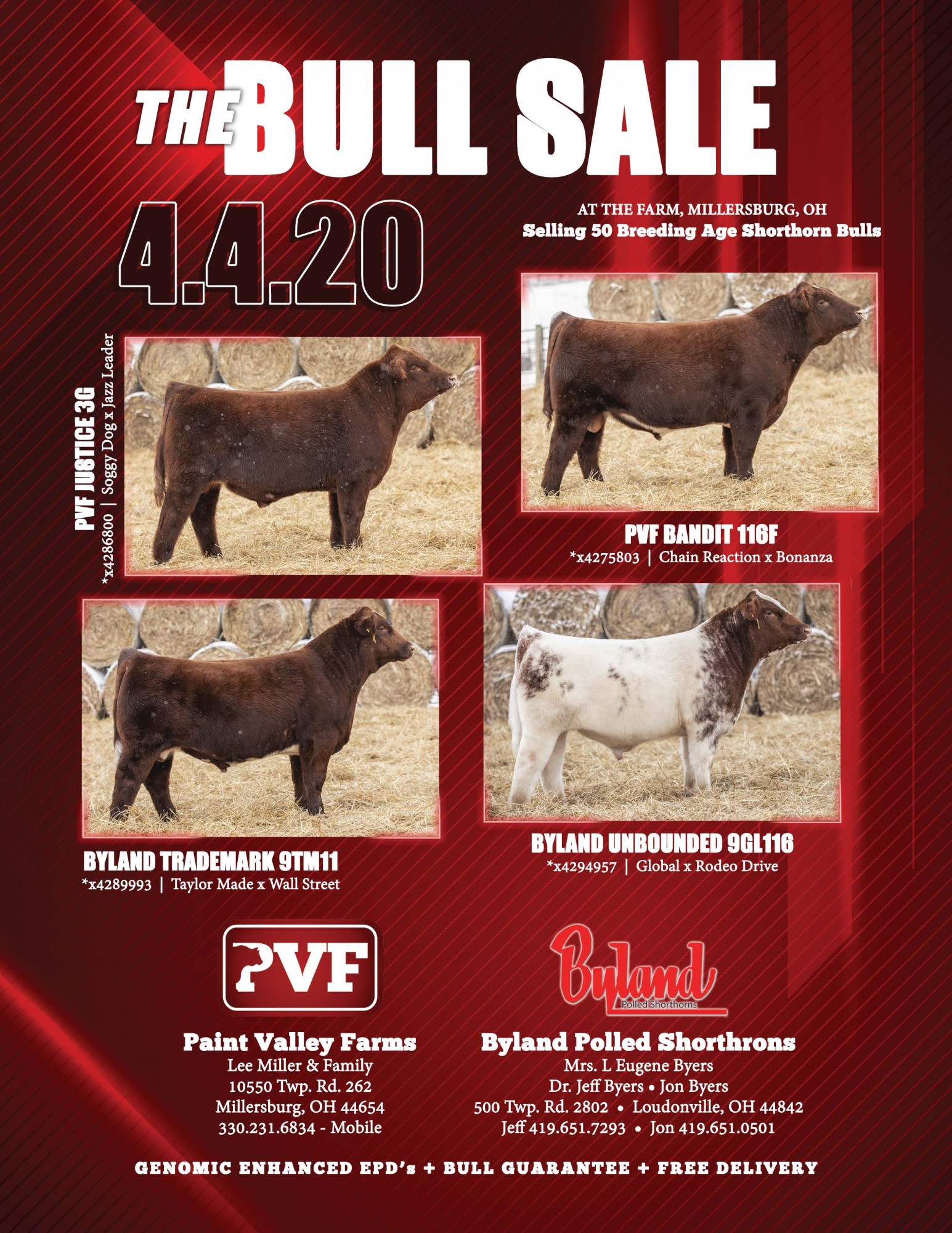 Auction - Paint Valley Farms