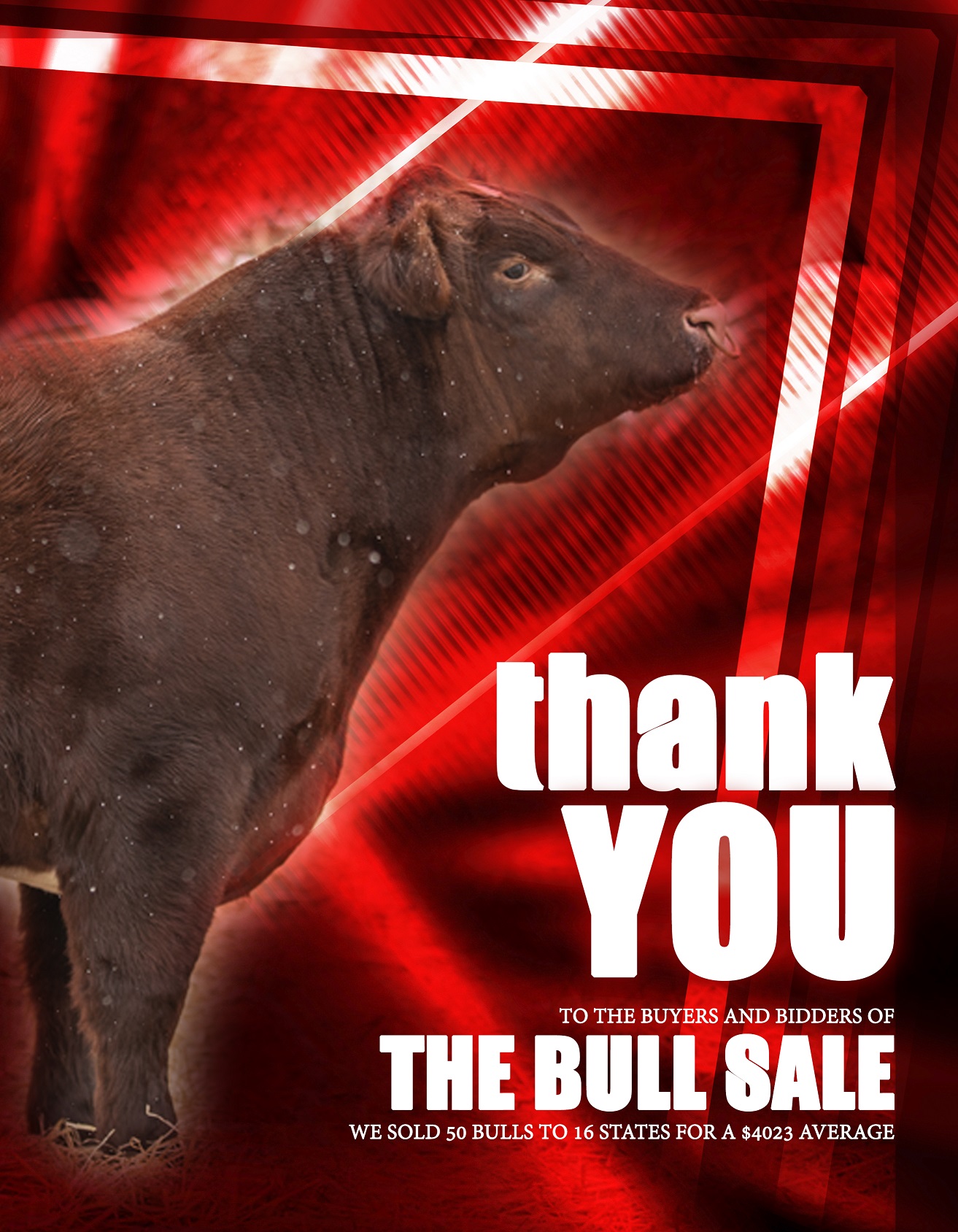 Auction - Paint Valley Farms